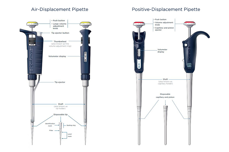 What Is The Purpose Of Volumetric Pipette What Is The Purpose Of Volumetric Pipette